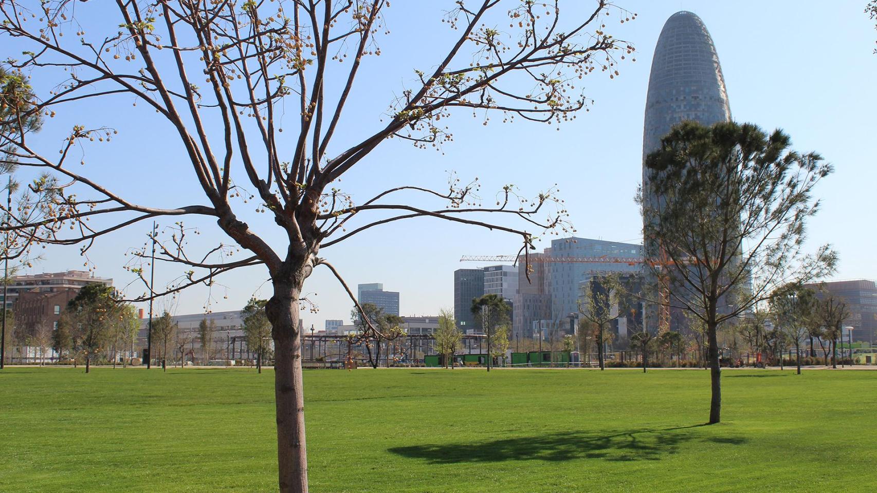 Barcelona pone fecha a la inauguración del parque de la plaza de ...